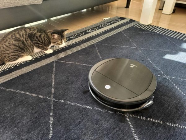 【実機レビュー】「Lefant M213」ロボット掃除機～小型だから椅子の隙間にも入れブラシレスだから長い毛も絡まずメンテナンスが容易│物欲 ...
